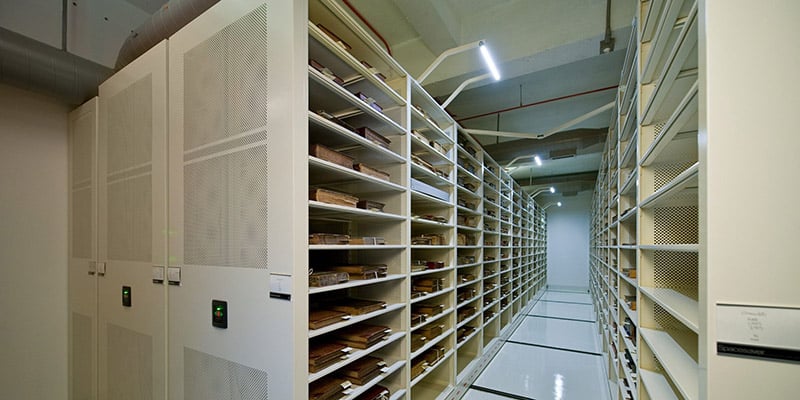 A Deep Dive into the Technical World of Electric Shelves