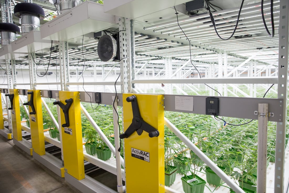 Mobile Shelving Cost: Powered vs Mechanical Price Per Square Foot