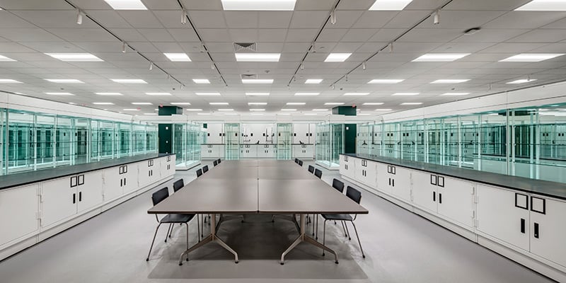 Geology Storage Cabinets That Rock (Literally and Figuratively)