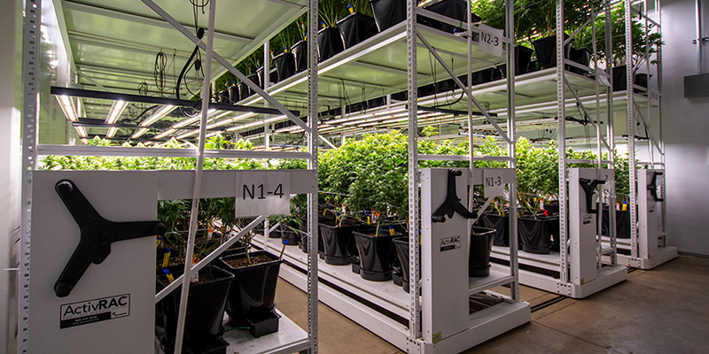 From Static to Dynamic: Mobile Pallet Racks