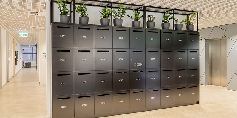 Unlock the Flexibility of Day Use Lockers