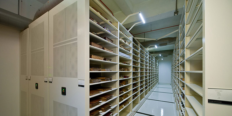 A Deep Dive into the Technical World of Electric Shelves