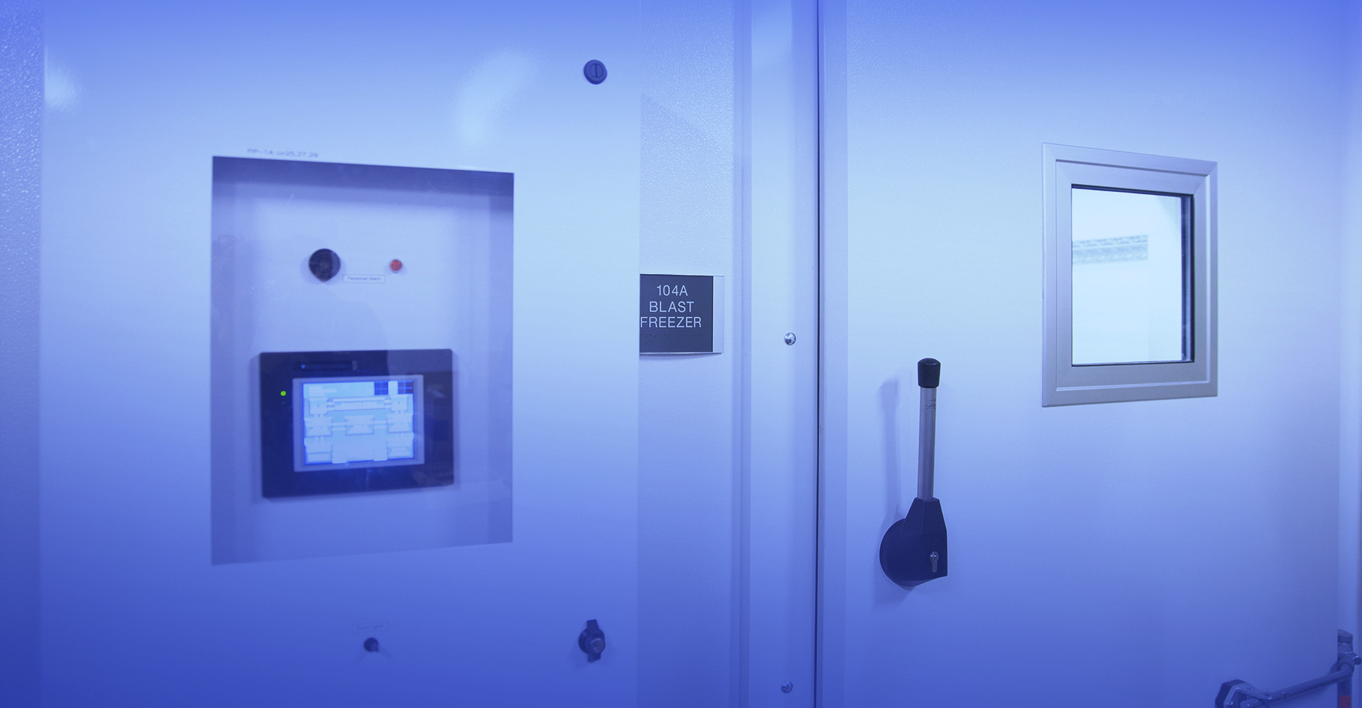 Freezer Warehouse Storage: Solutions for Seriously Cold Spaces