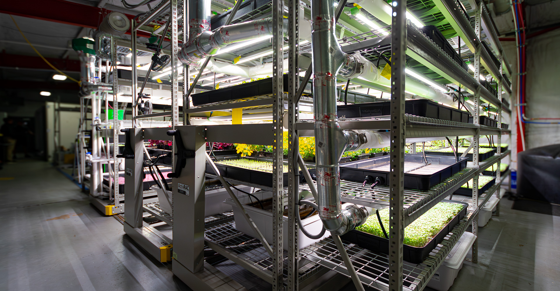 Benefits of Indoor Grow Racks for Vertical Farmers