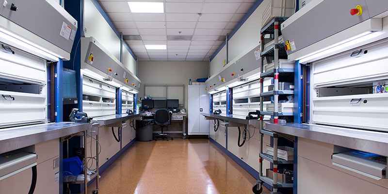 A Deep Dive into Medical Storage Solutions for Healthcare Facilities