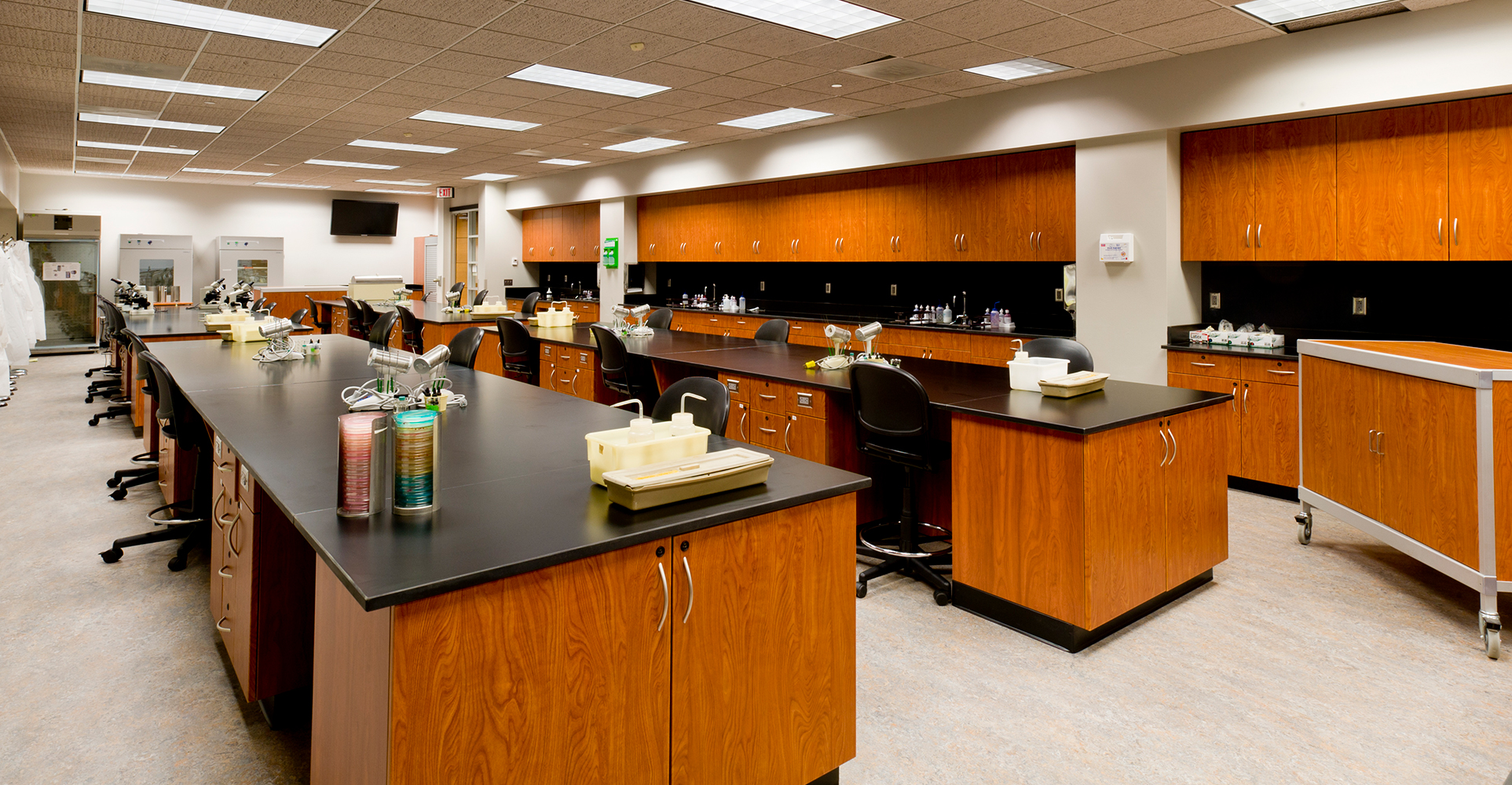 Why Your School Needs Modular Casework