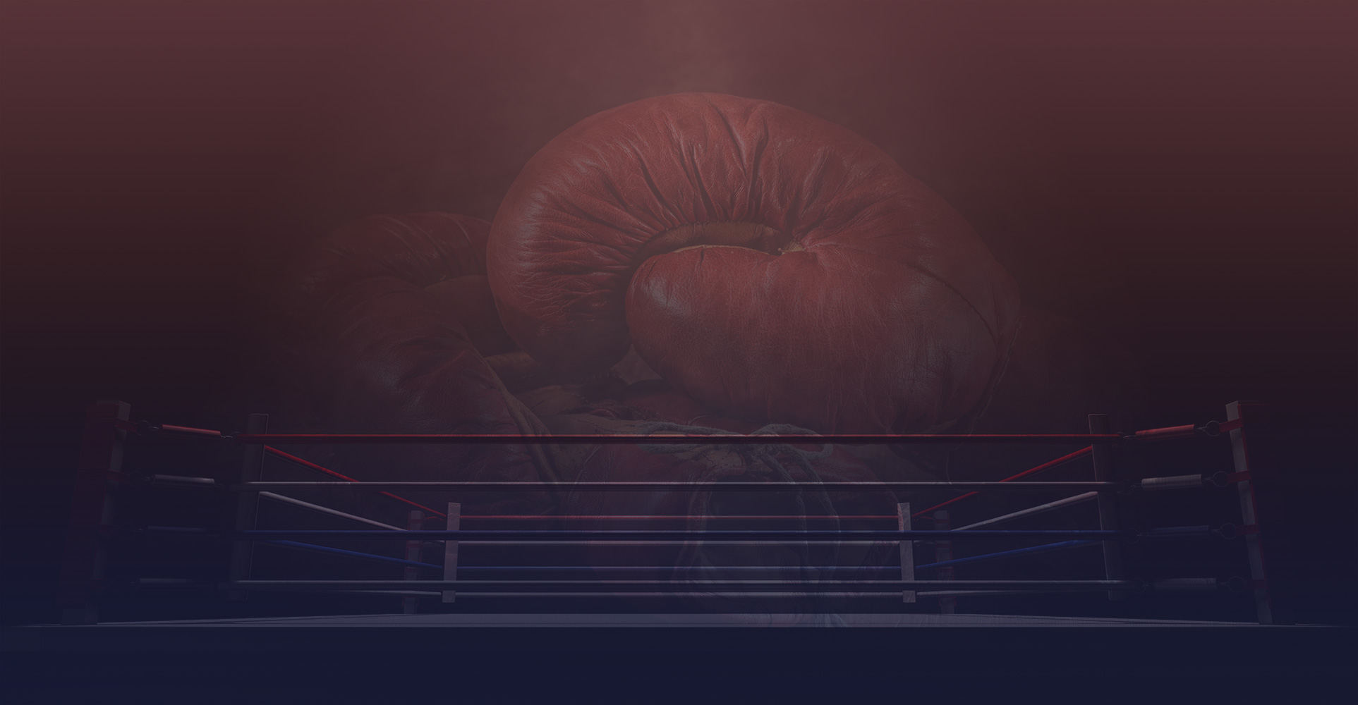 Pallet Mole vs. ActivRAC: Which High-Density Racking System Works Best ...