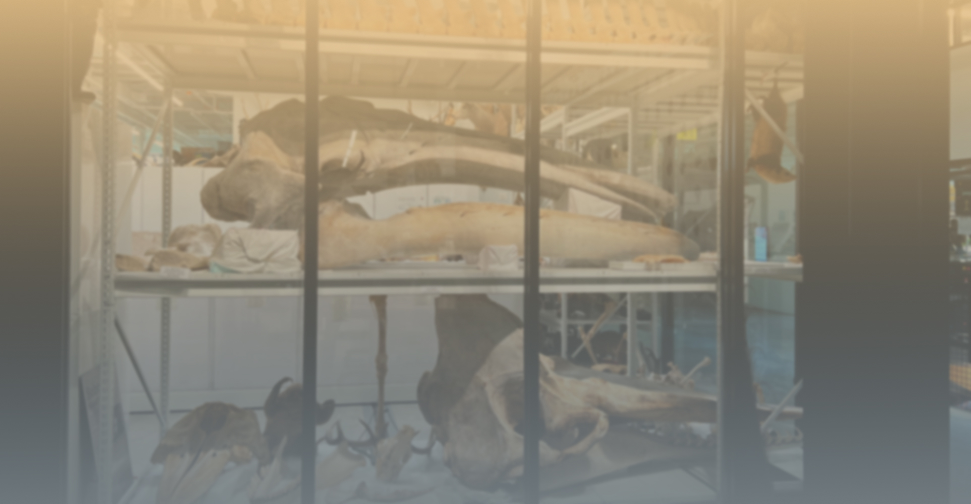 Understanding Shelving Weight Capacity: Key Factors that Affect Performance