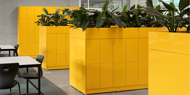 Modernize Your Library with Custom Library Lockers