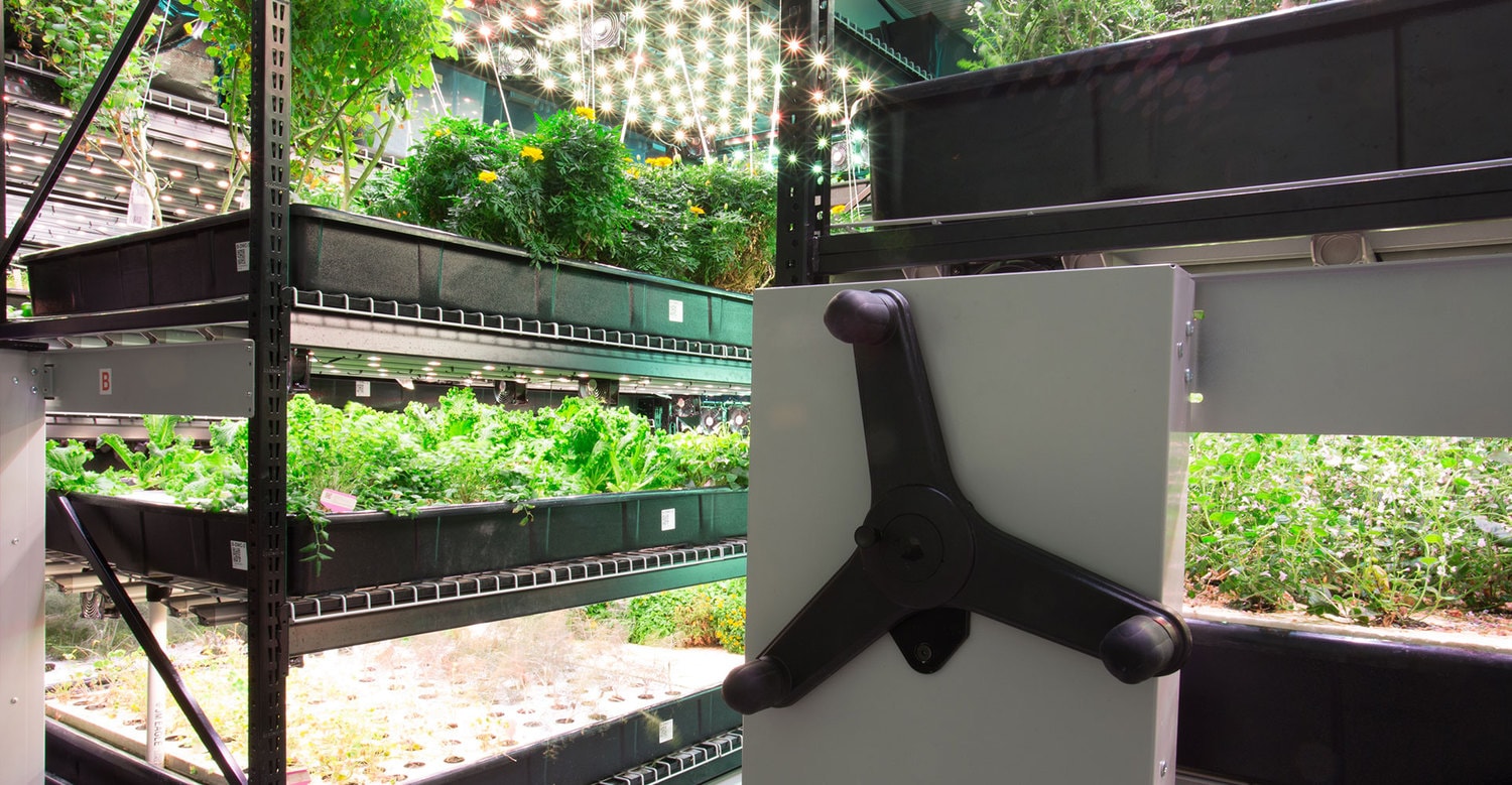 Growing Space Solutions for Urban Indoor Farming